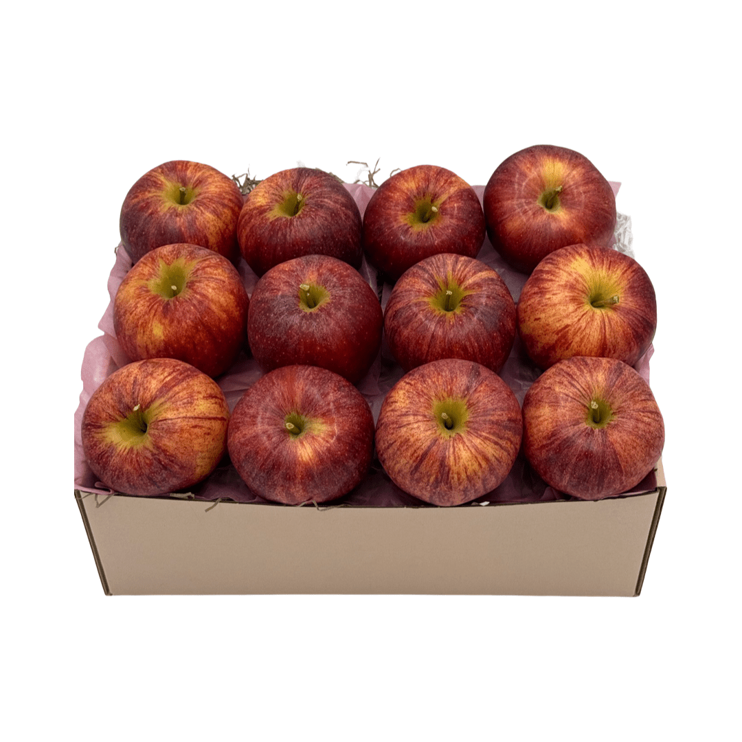 BOX11-Gala Apples Gift – Honey Bear Fruit Baskets